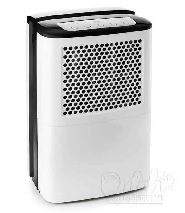 Grow Room: Best Humidity Levels for Growing Cannabis Indoors