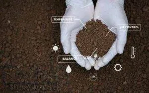 The Fox Farm Feeding Schedule for Autoflowers – Dutch Seeds Shop