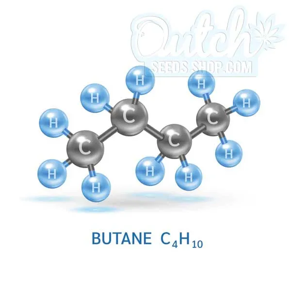 Choosing the Best Butane for BHO Extraction - DSS