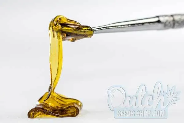 How to Purge BHO Without a Vacuum: A Beginner's Guide - DSS