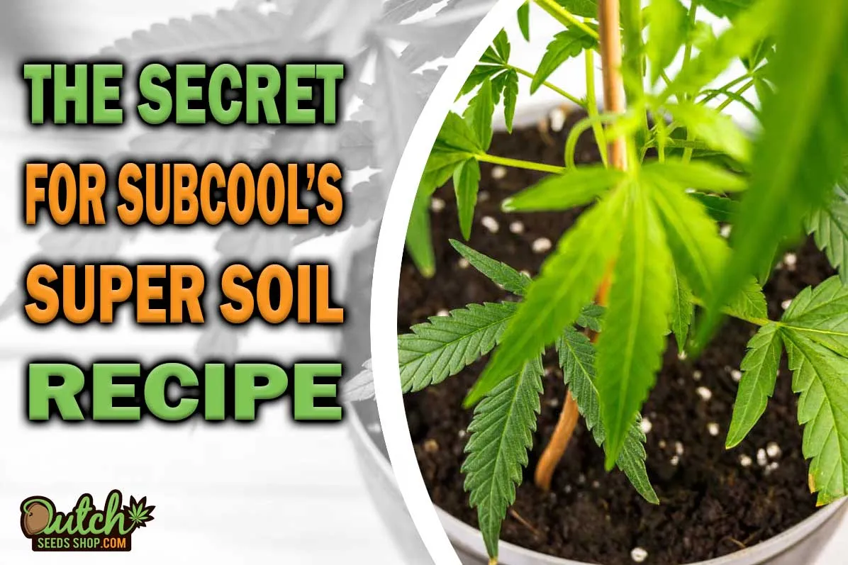 The Secret Recipe for SubCool's Super Soil - DSS