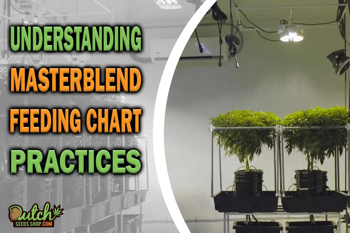 Masterblend Feeding Chart - DSS